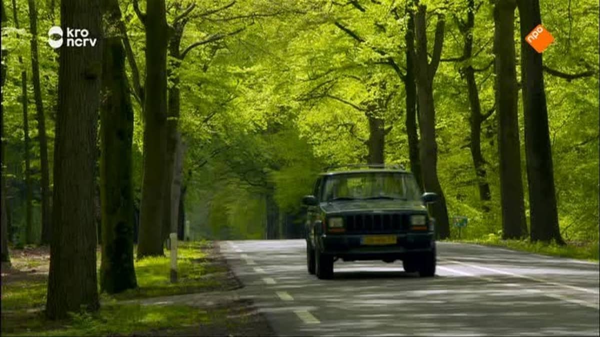 Gevonden | NPO Start