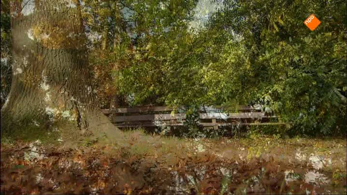 MO Doc: Als je ouders gaan vergeten | NPO Start