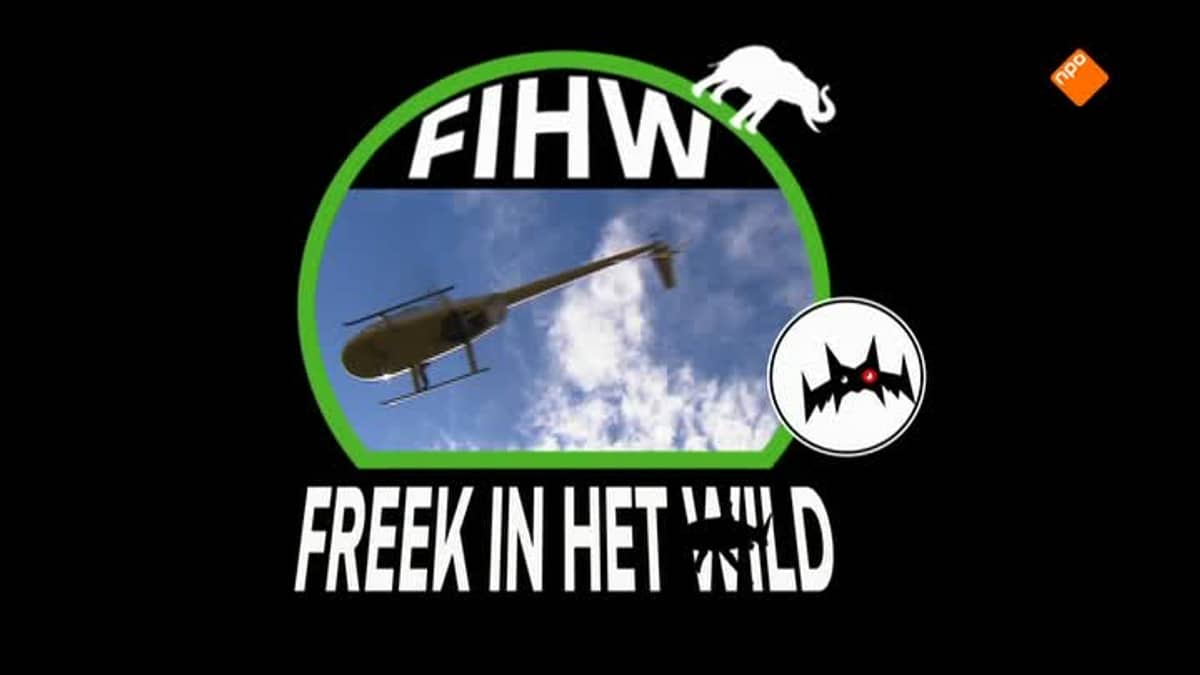 Op zoek naar de zweepspin | NPO Start