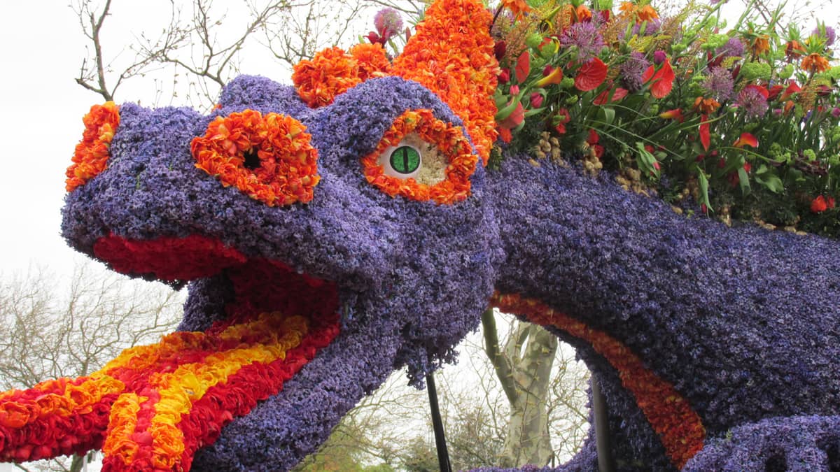 Bollenstreek 2019 | NPO Start