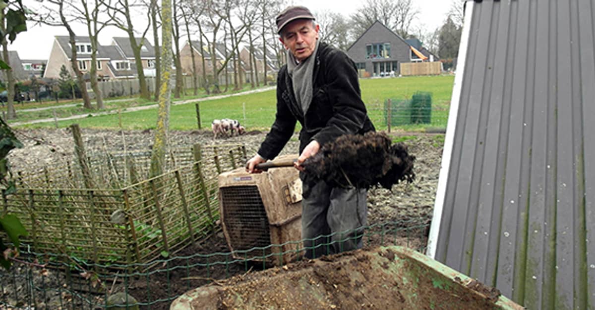 De kleine oorlog van boer Kok | NPO Start