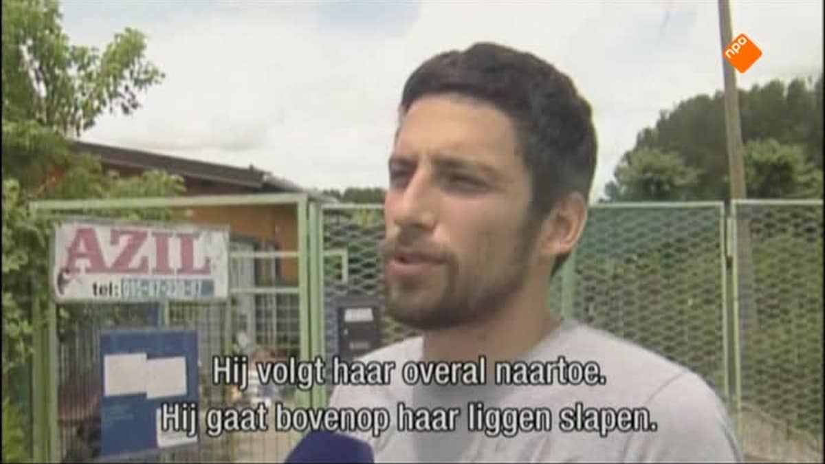 NOS Weekoverzicht Jeugdjournaal | NPO Start