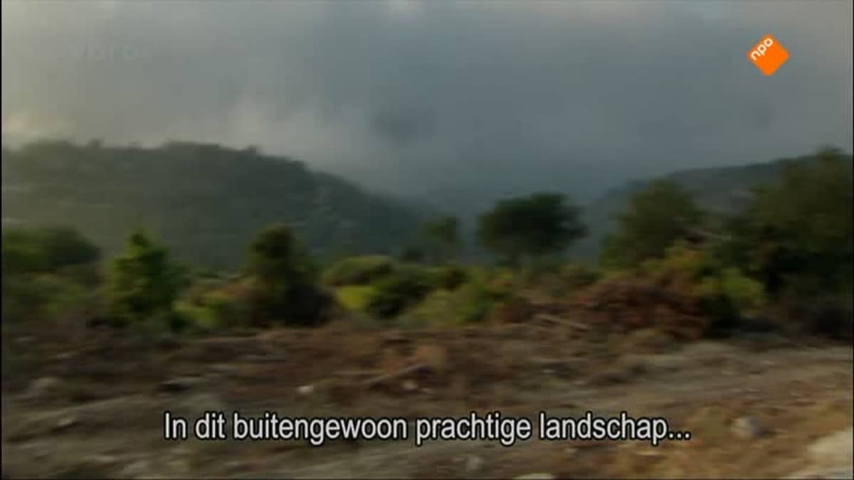 David Grossman | NPO Start