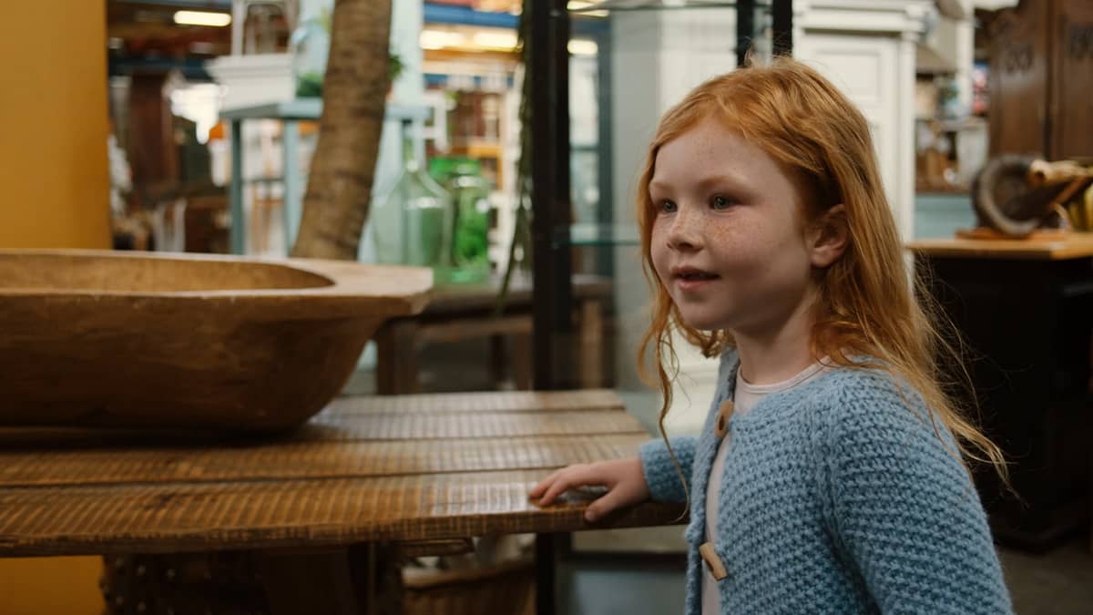 Evi & Co | NPO Start