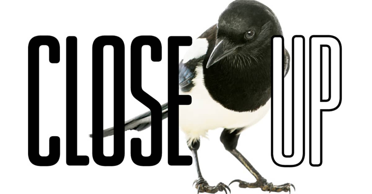 Close Up | NPO Start