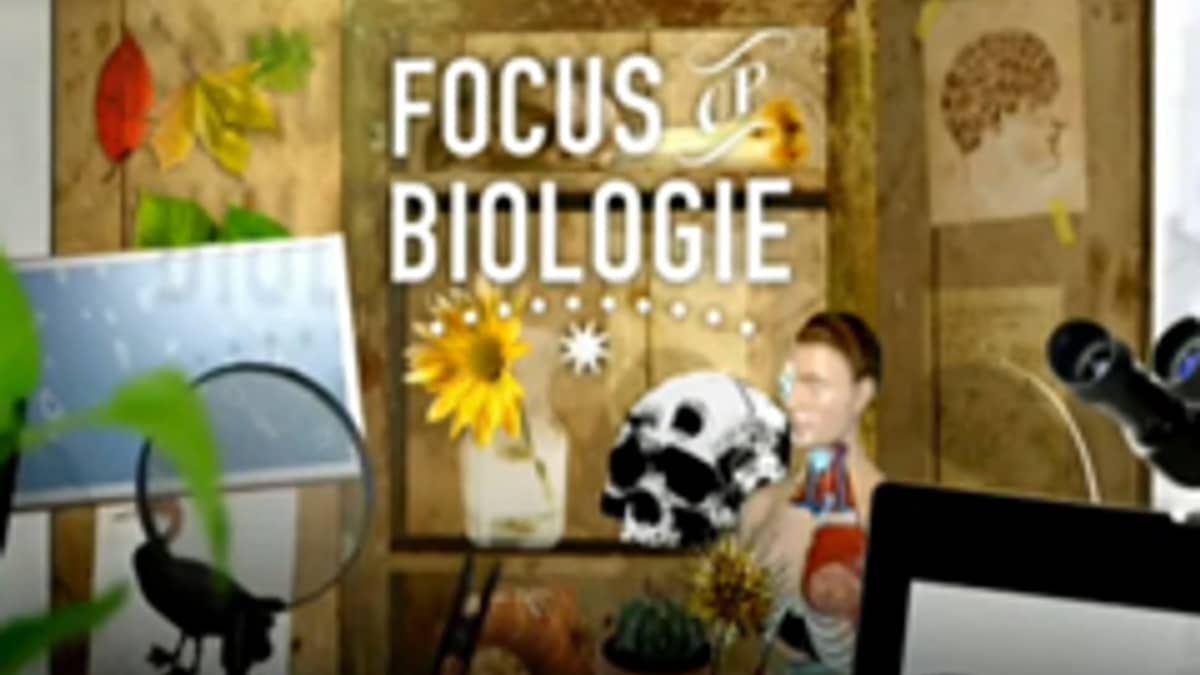 Focus op biologie | NPO Start