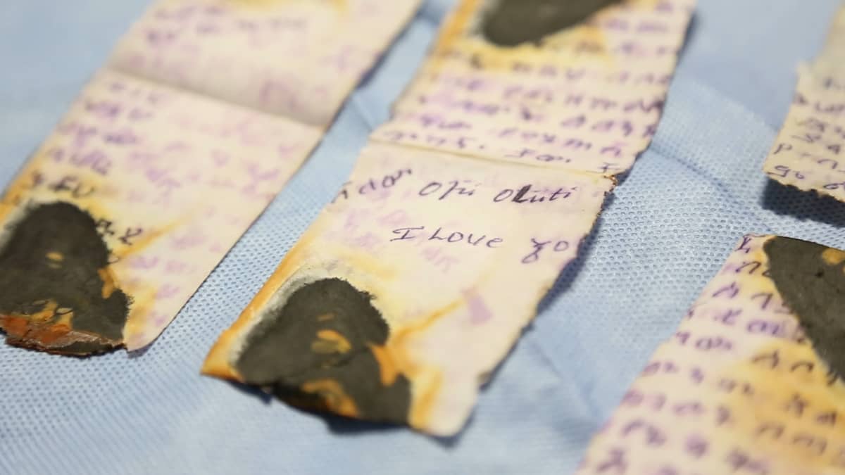 IDFA Primeur: #387 | NPO Start