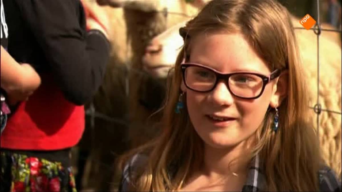 NOS Weekoverzicht Jeugdjournaal | NPO Start
