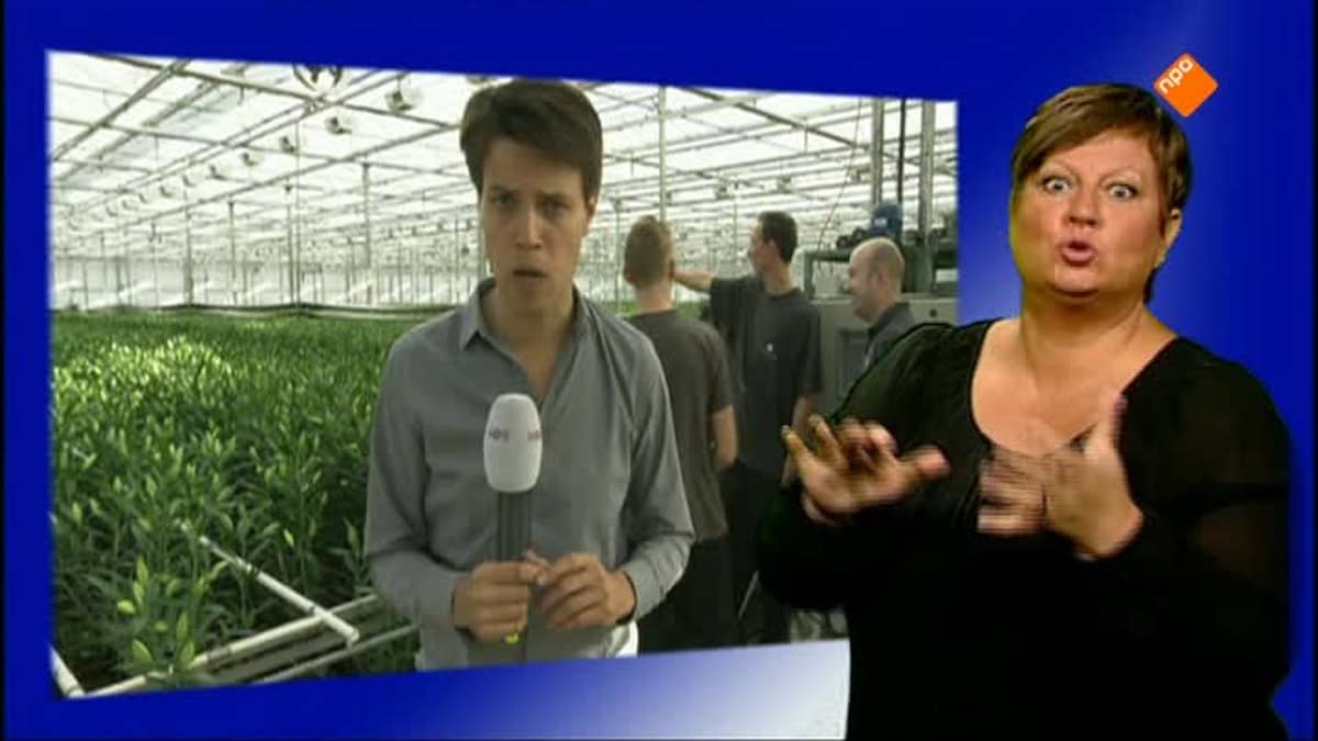 NOS Zomerochtend met gebarentolk | NPO Start