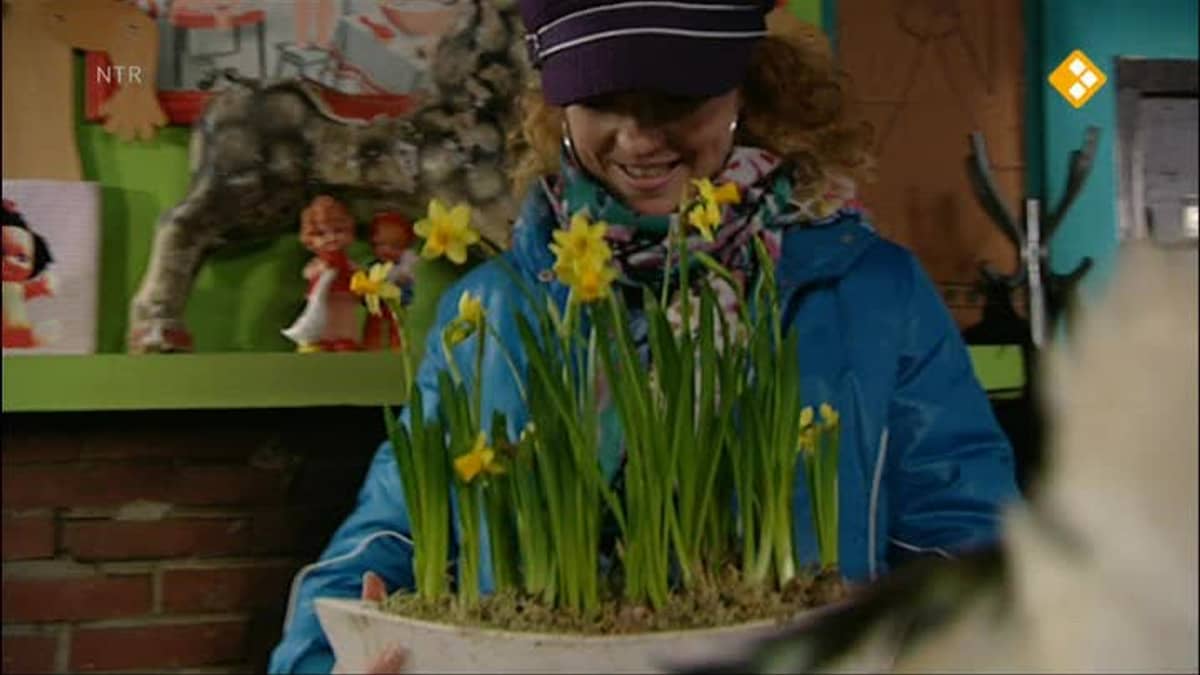 443 het jaar rond | NPO Start