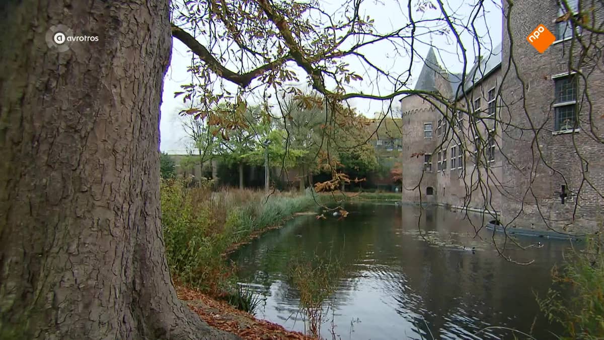 Museum Helmond | NPO Start