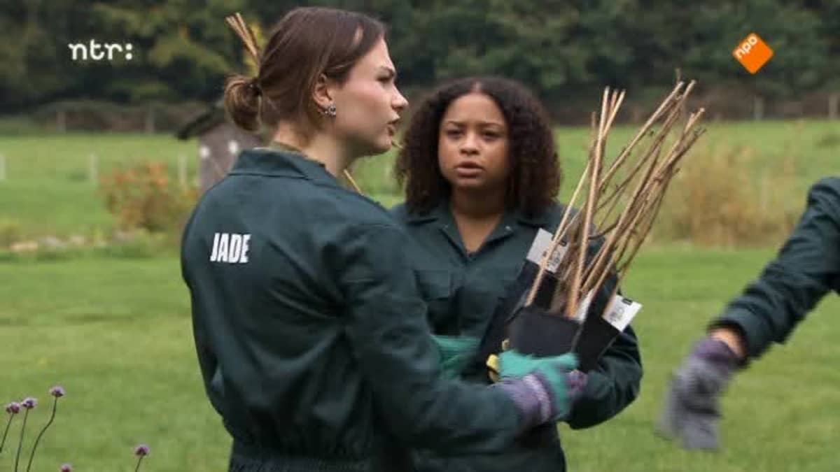 Oorzaak en gevolg | NPO Start