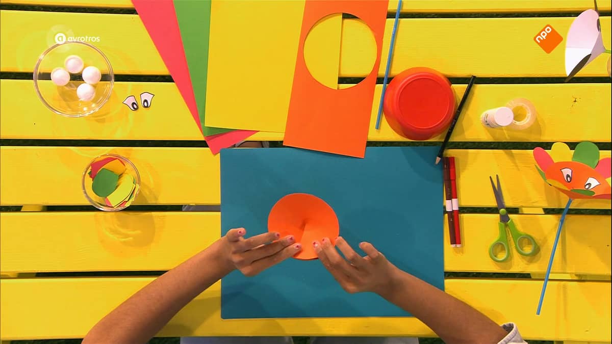 Bloemen - Camping: Knutsel Blaasbloem | NPO Start