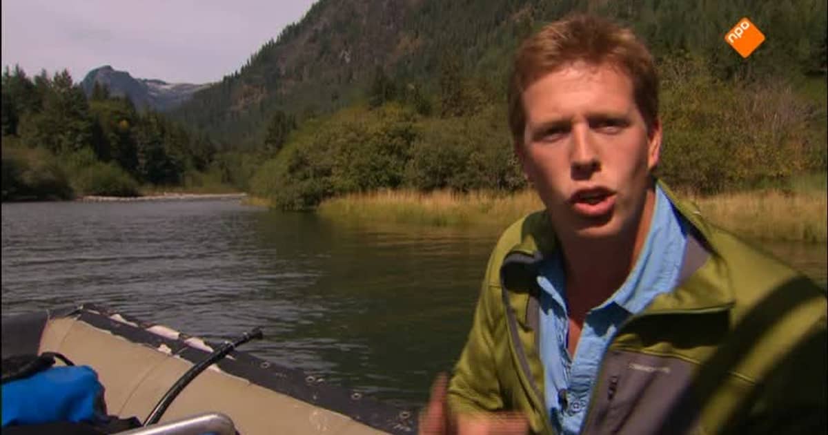 Grizzly beren zoeken | NPO Start