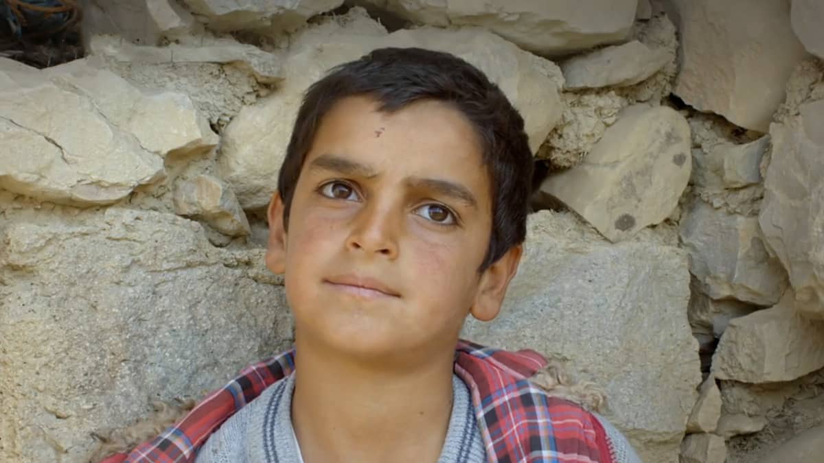 Birds Fly Back | NPO Start