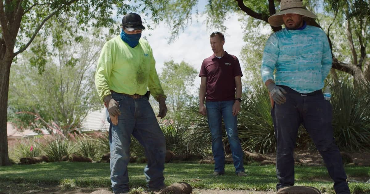 Het Einde van het Grasperk | NPO Start