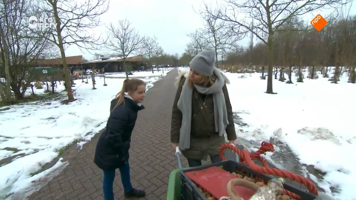 Willem Wever | NPO Start