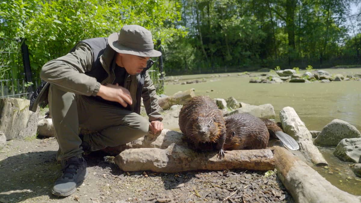 Bever | NPO Start