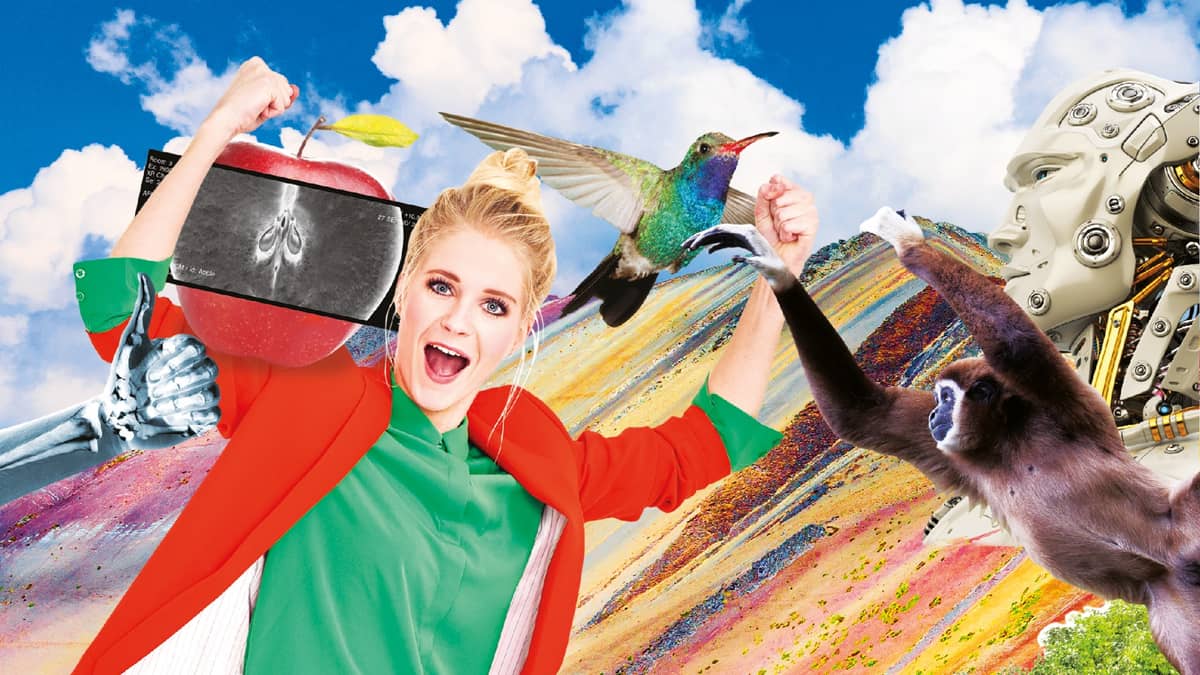 Het Klokhuis | NPO Start