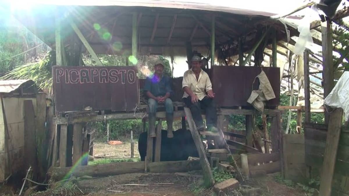 Caballeros del Cafe | NPO Start