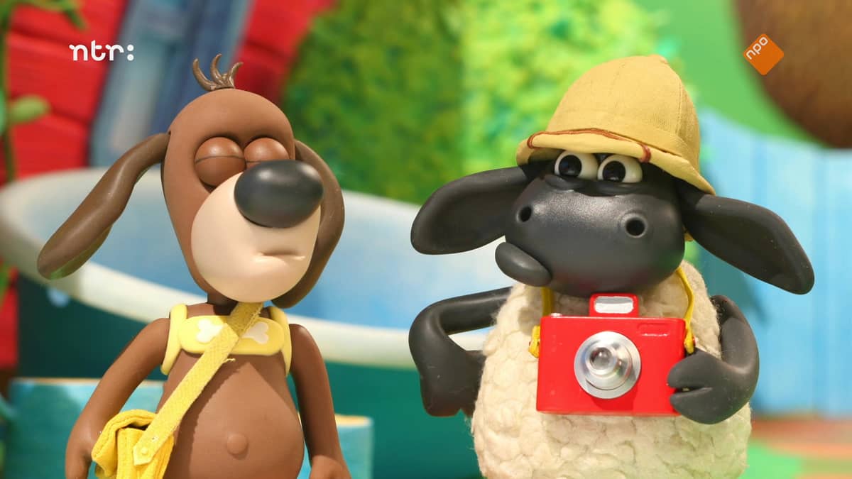 Timmy gaat op safari | NPO Start