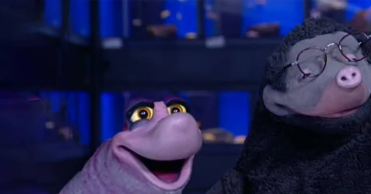 Taal met Moffel en Pier | NPO Start