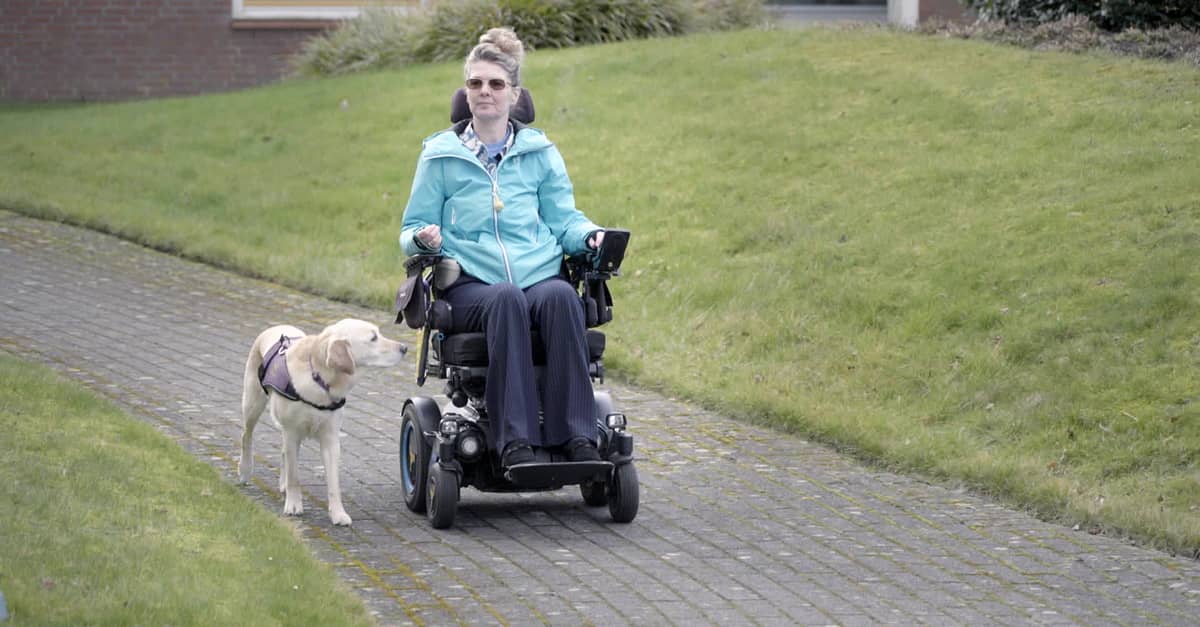 ADL-assistentiehond | NPO Start