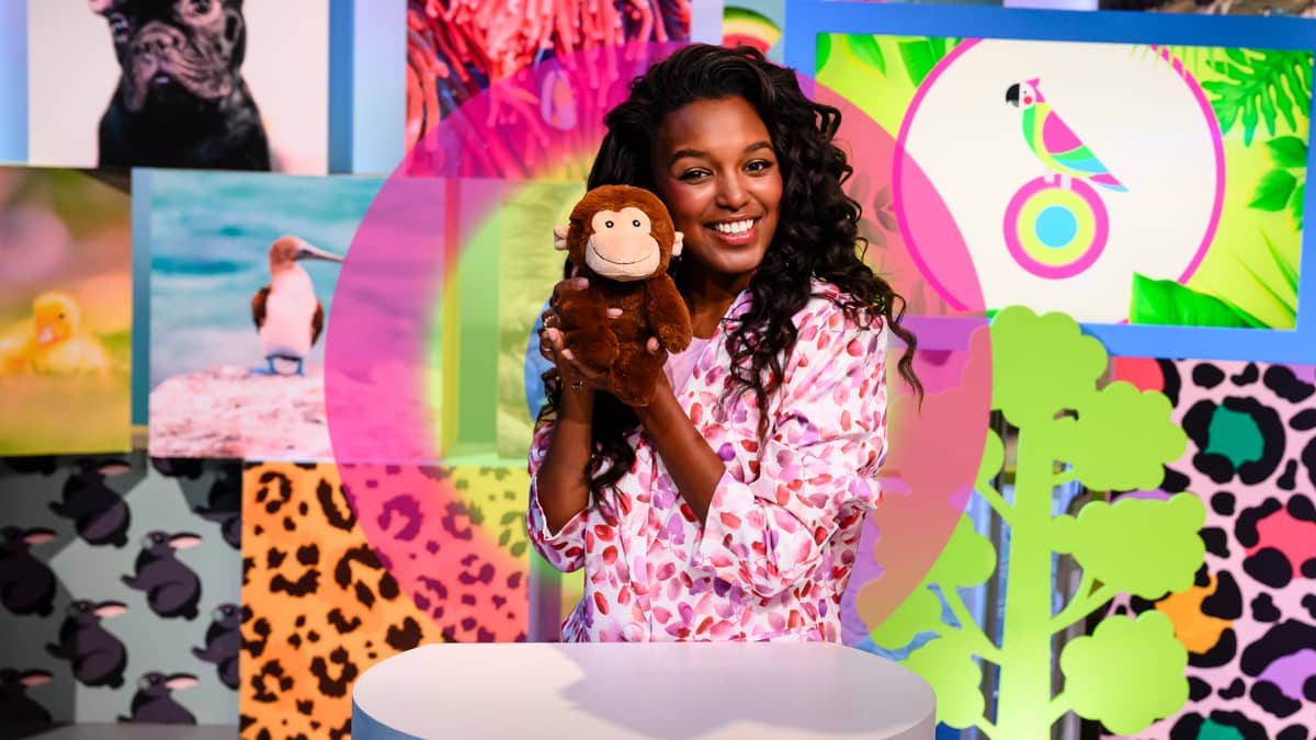 Waku Waku | NPO Start