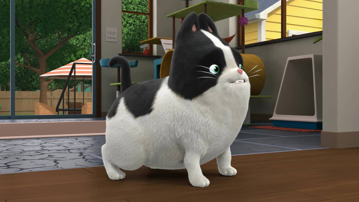 Sisi zegt Si Si! | NPO Start