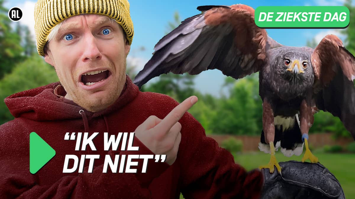 Een KUTDAG met ENZO KNOL | NPO Start