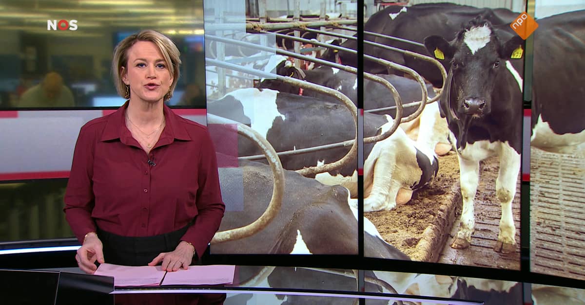 NOS Journaal | NPO Start